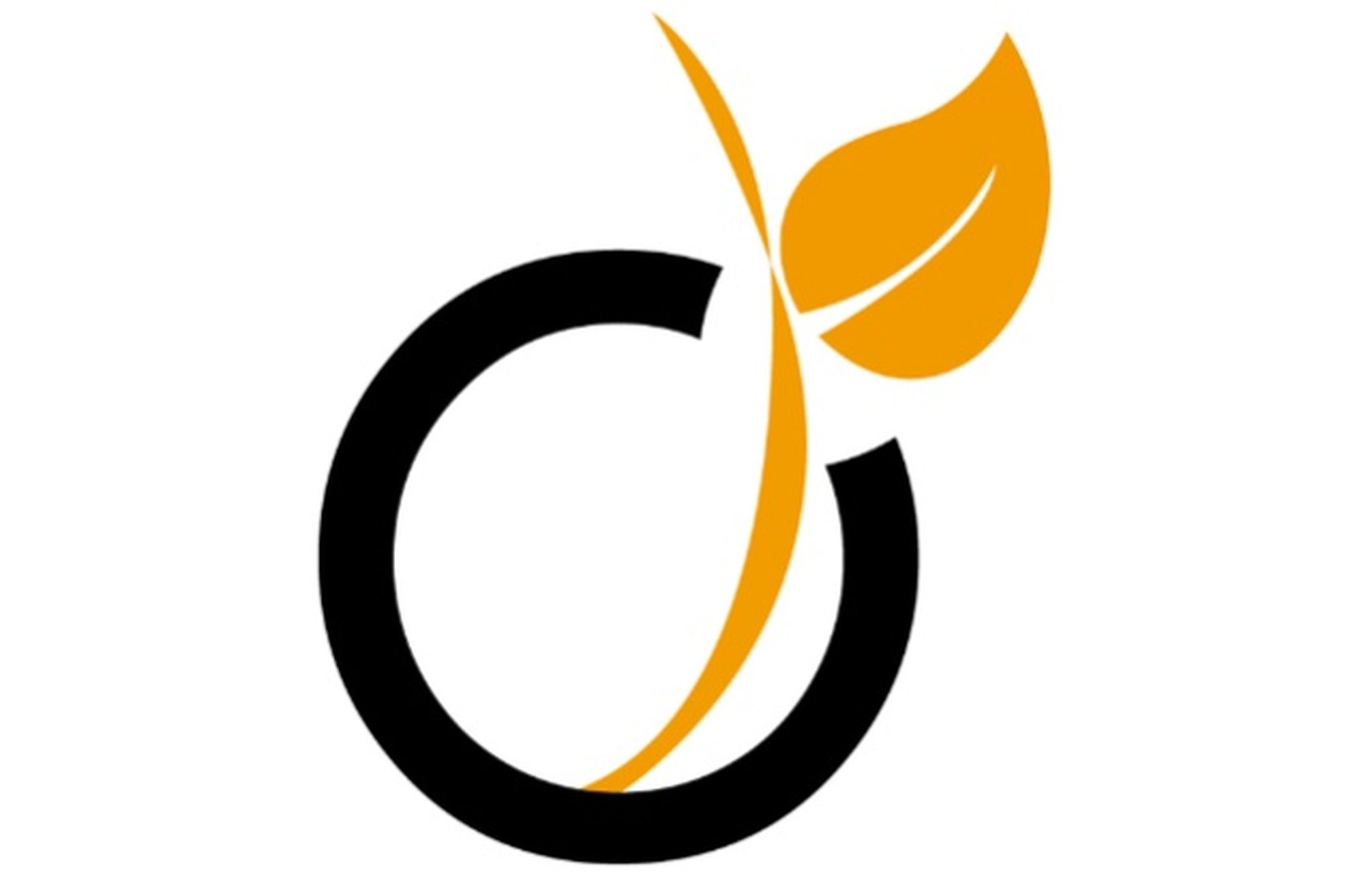 Viadeo, la alternativa a LinkedIn