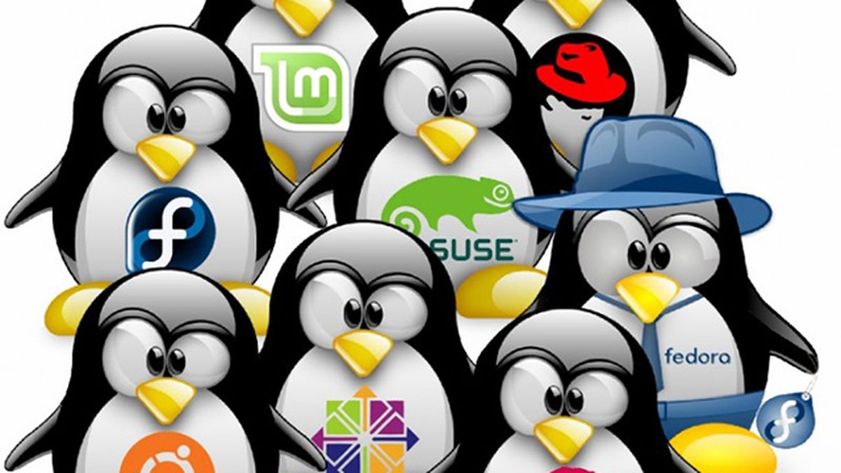 Las 5 mejores distribuciones Linux que no son Ubuntu