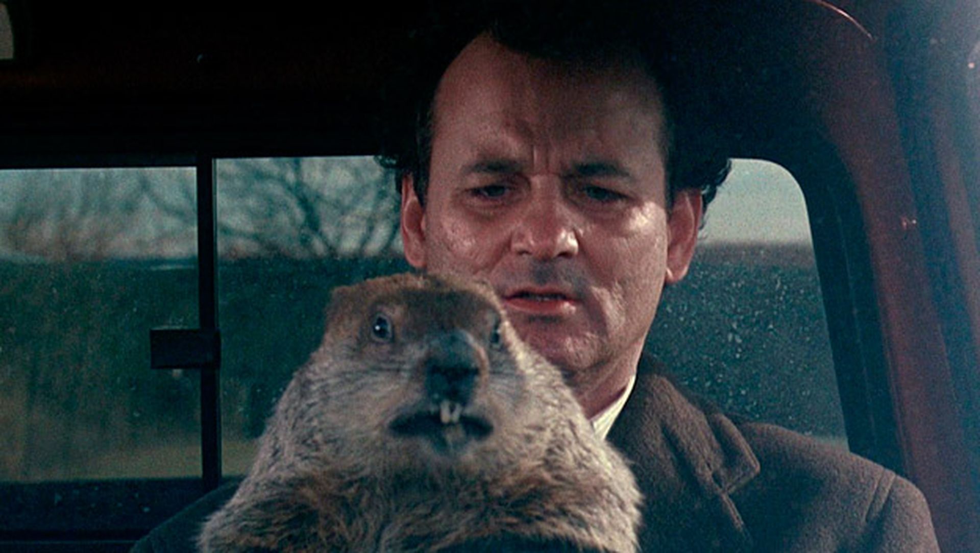 Las 13 mejores comedias o películas de risa que deberías ver