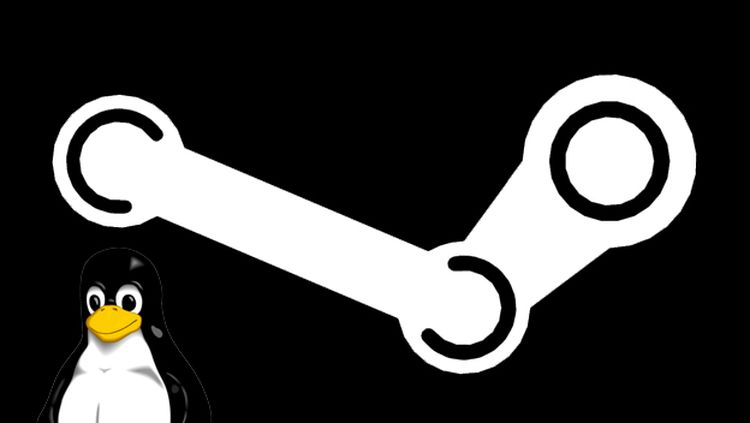 Steam para Linux ya cuenta con más de 1.500 videojuegos