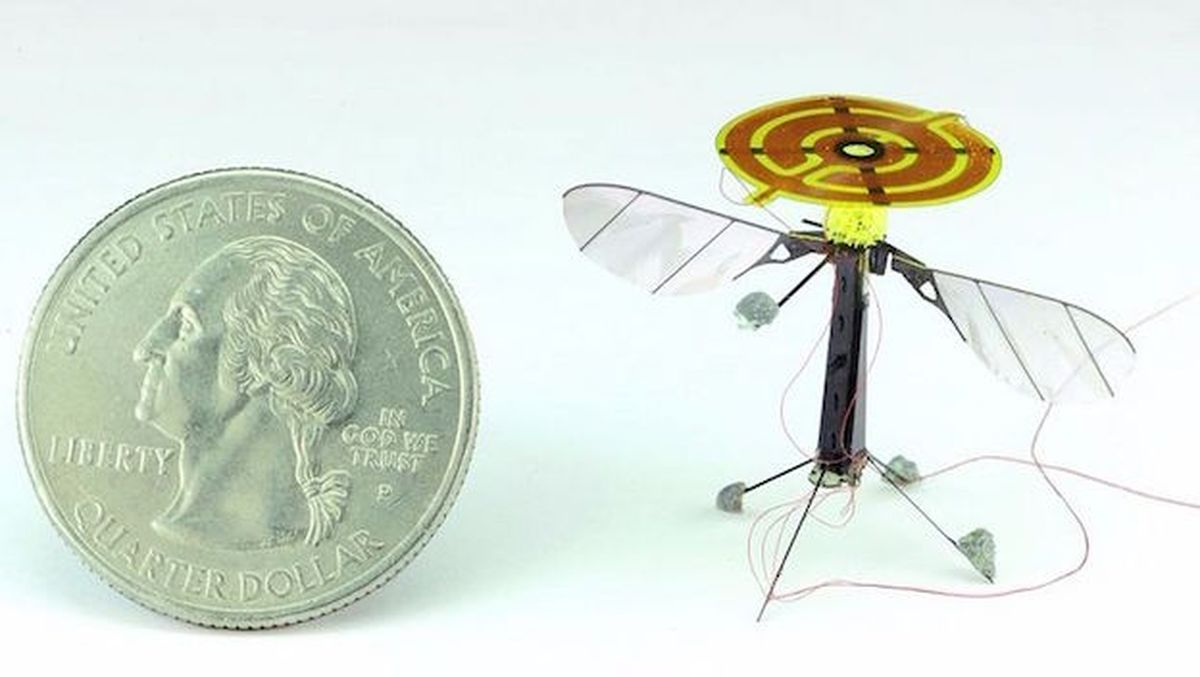 Nuevos insectos robot, el arma secreta para espionaje en el futuro