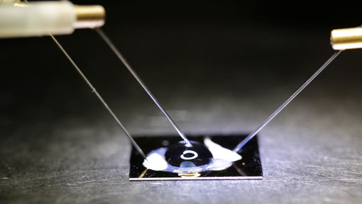 Chip de grafeno detecta mutaciones de ADN y diagnostica enfermedades