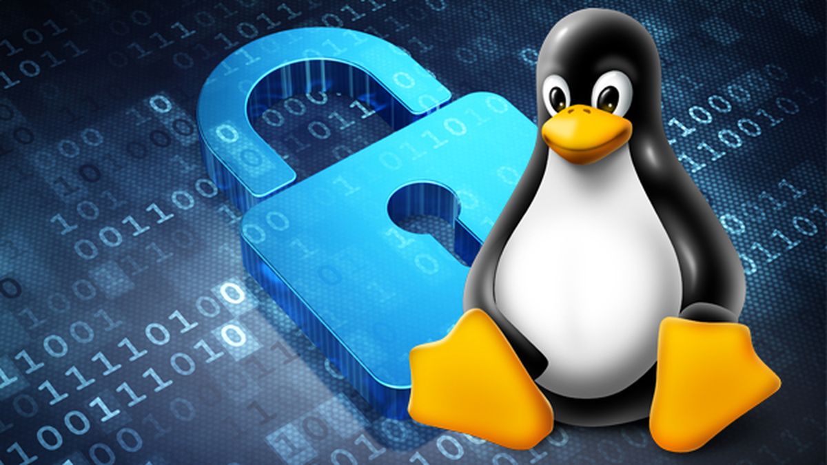 Las tres distribuciones de Linux más seguras