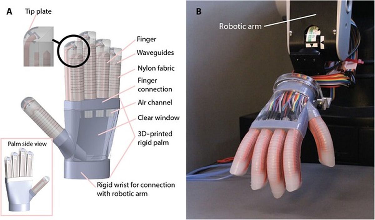 Tecnología óptica da a prótesis un sentido del tacto más humano