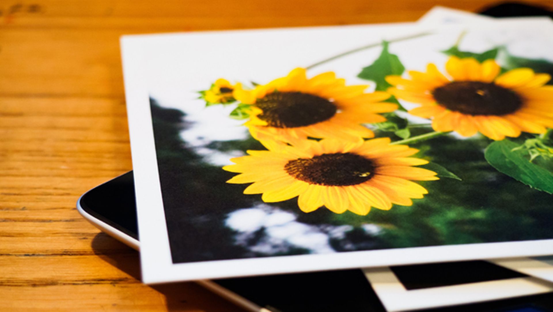 Everypixel, un buscador de imágenes gratis y libres de derechos