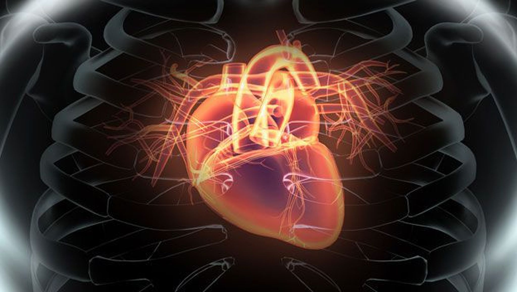 Bacterias fotosintéticas para tratar corazones dañados