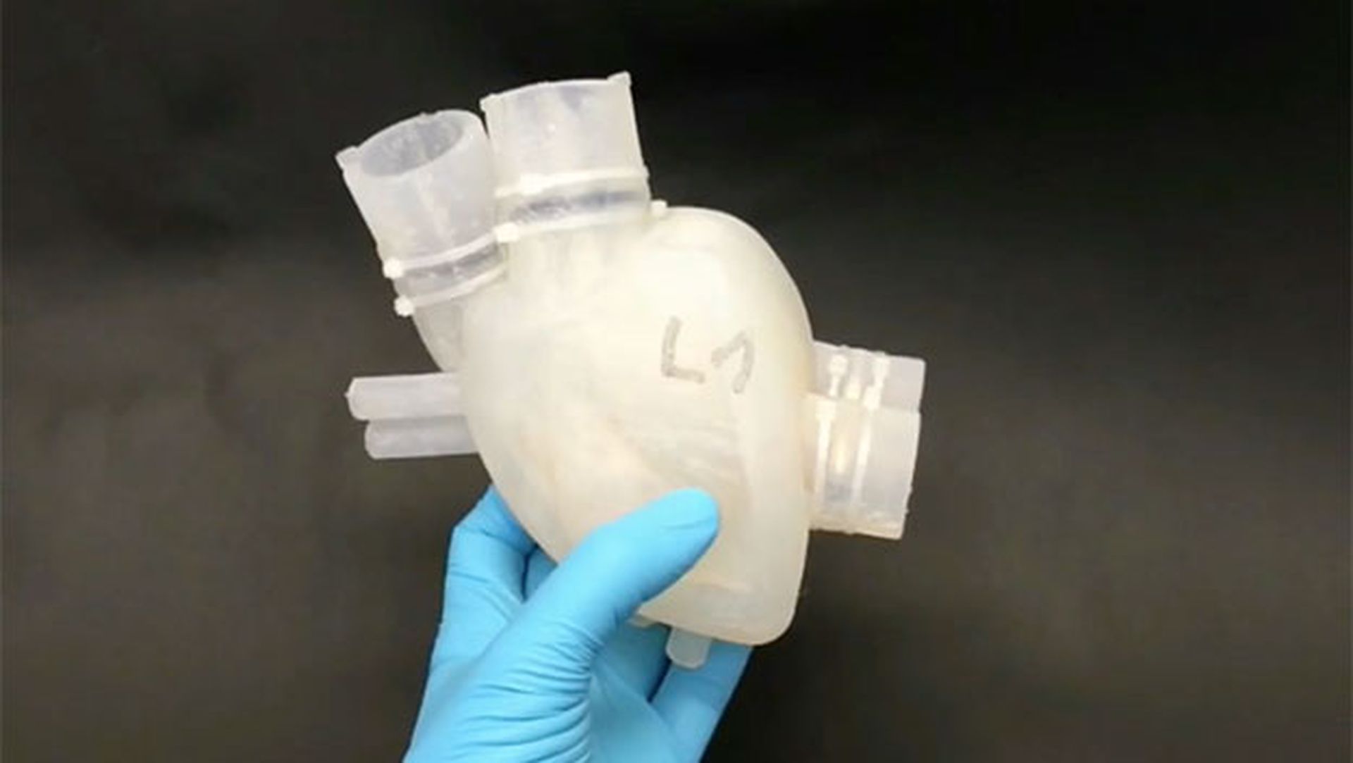 Corazón artificial impreso en 3D bombea sangre como uno de verdad