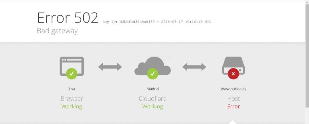 ¿Qué es The Internet Archive y qué podemos encontrar en él?