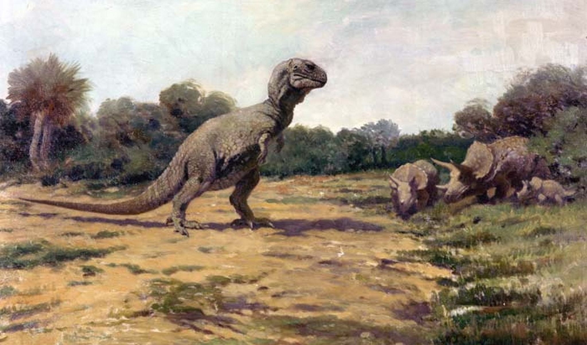 Mitos del Tyrannosaurus Rex, ¿cómo eran realmente los T-Rex?