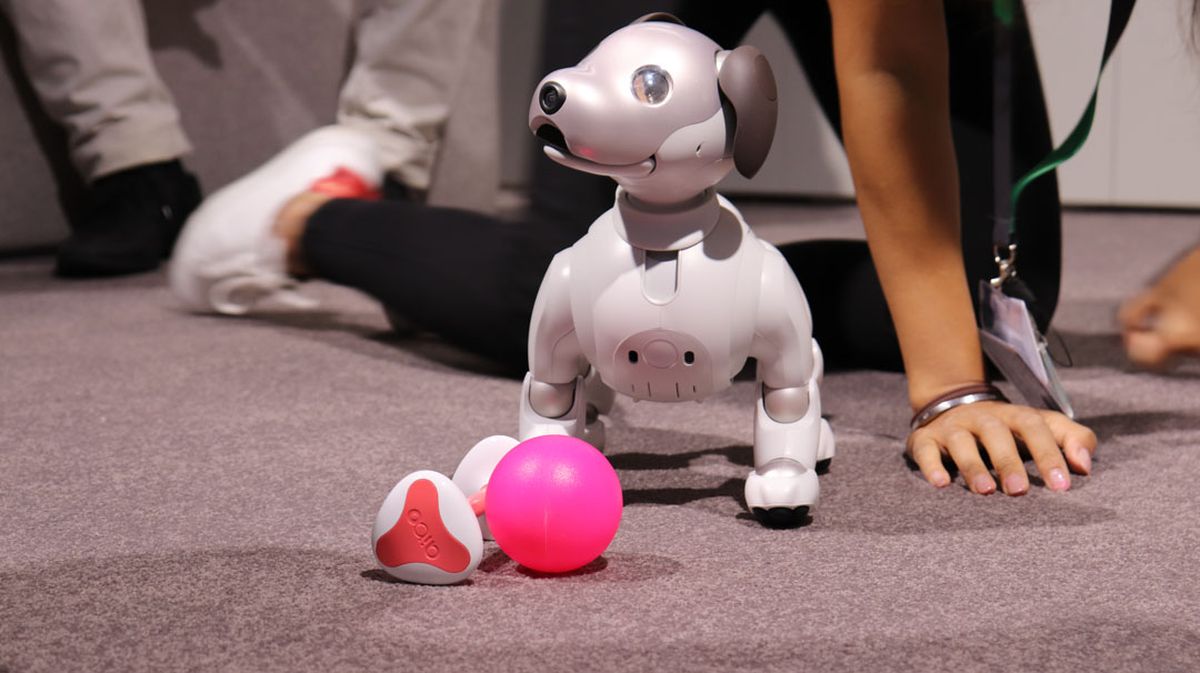 El perrito robot Aibo ahora te esperará frente a la puerta cuando ...