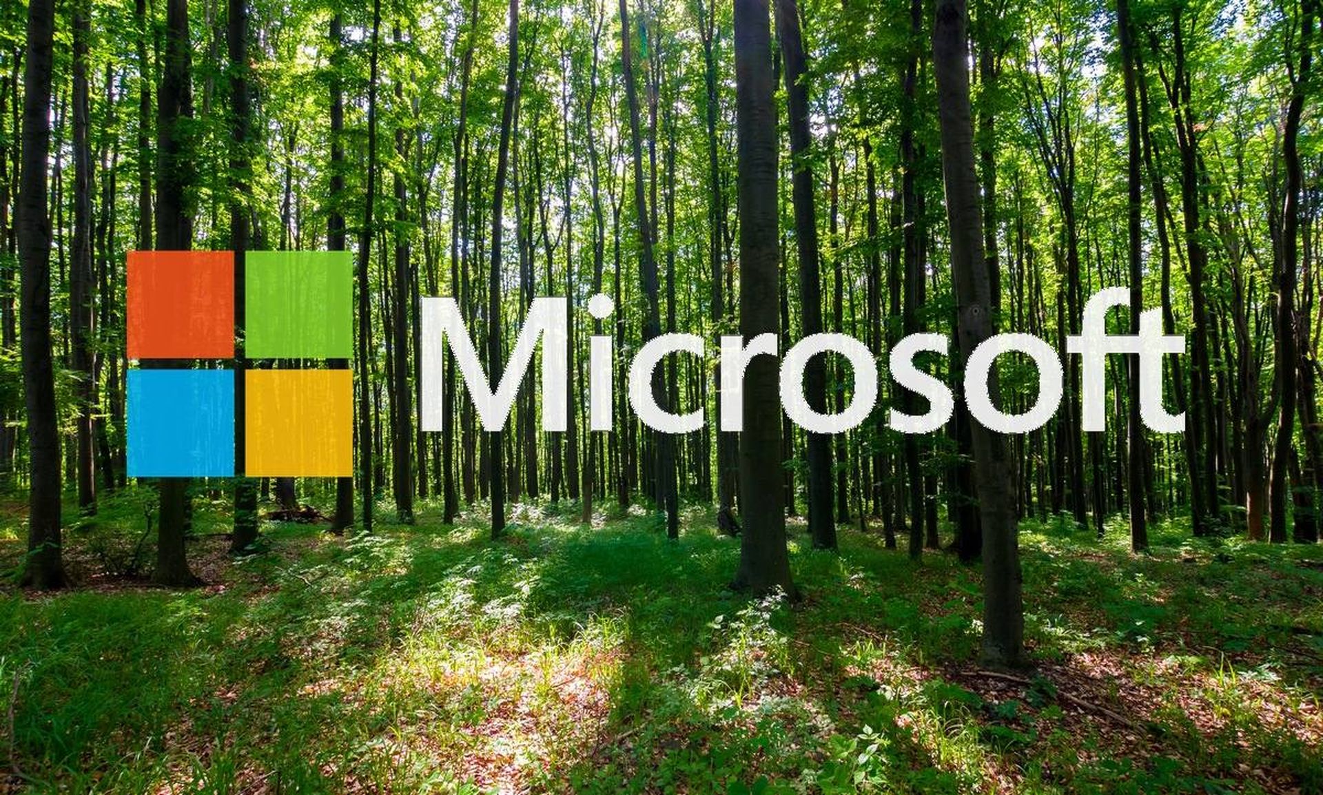 Así es Bosque, el nuevo lenguaje de programación de Microsoft