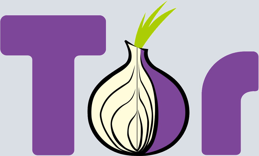 Tor, el navegador más seguro, llega a los móviles Android