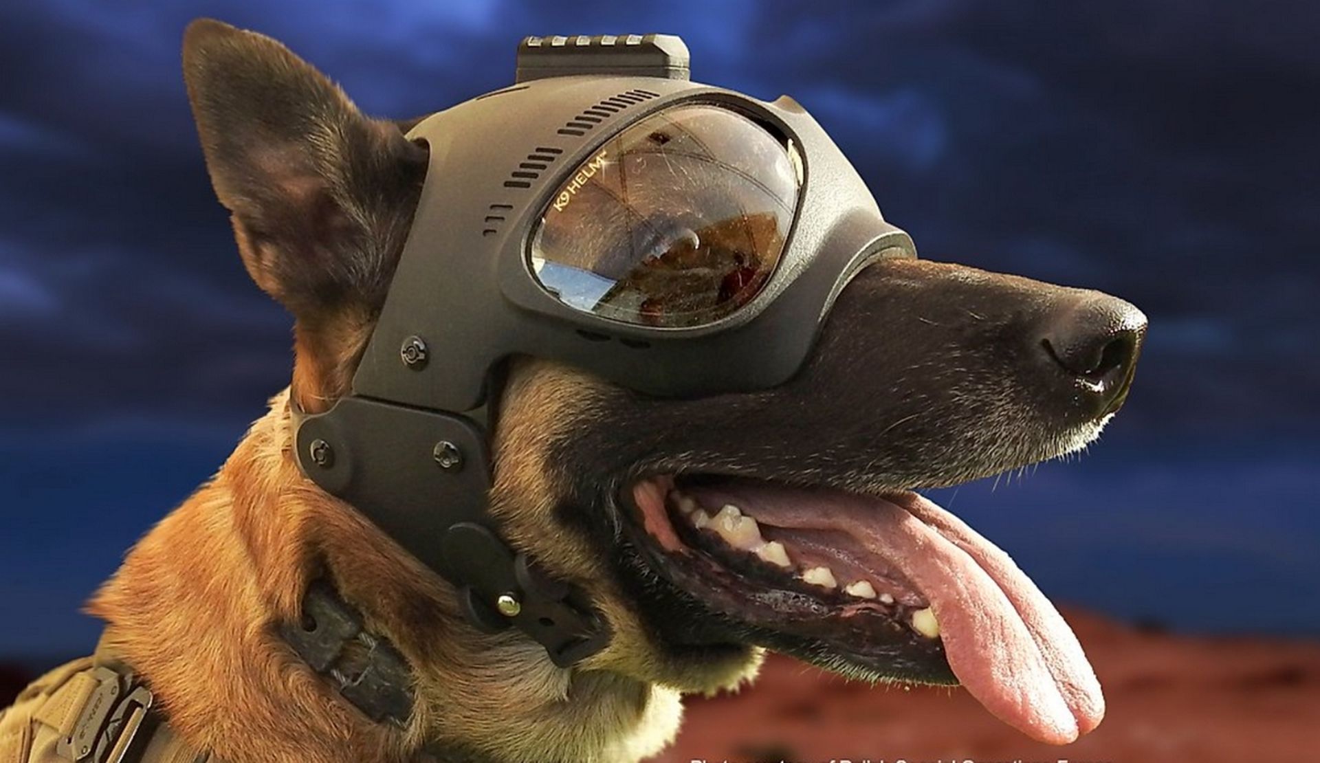 K9 Helm, el casco protector para perros que trabajan en profesiones ...