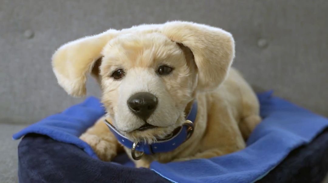 Este perro robot es súper realista y se mueve y se comporta como uno de ...