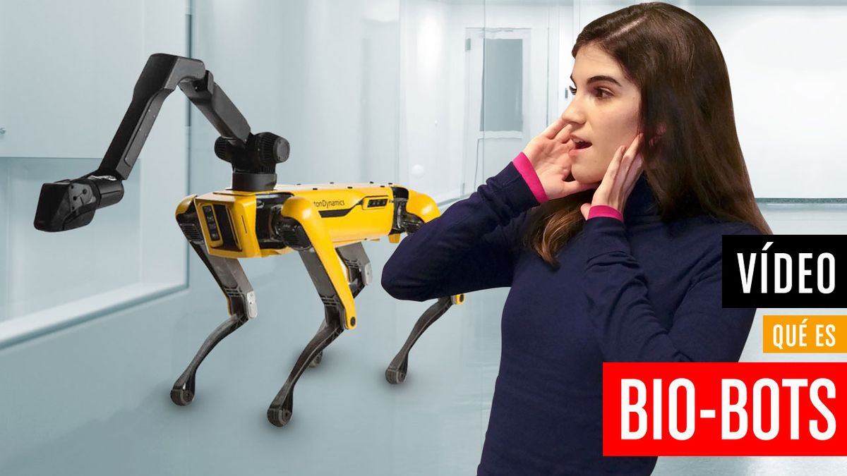 ¿Qué son y en qué consisten los bio-bots?
