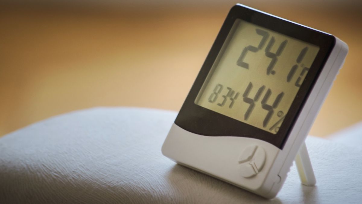 Monitores de temperatura y humedad: para qué sirven, qué debes tener en ...