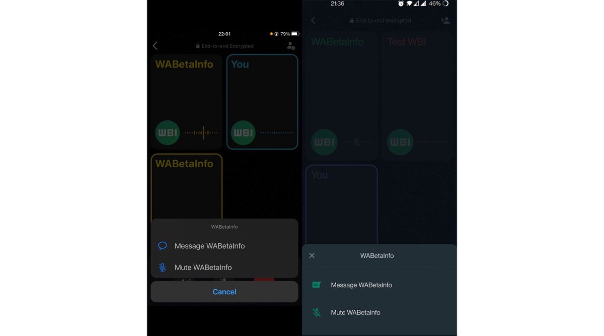 WhatsApp ya permite mutear a ciertas personas en las llamadas y ...
