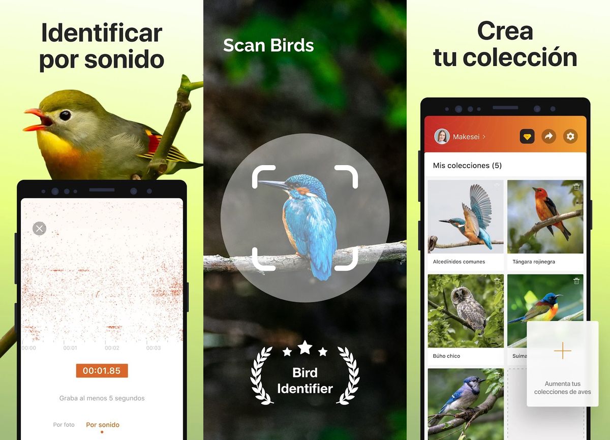 Las 7 mejores aplicaciones para móviles Android con las que identificar ...