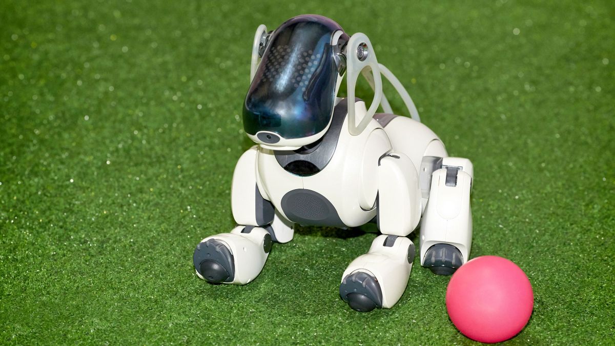 Científicos ya trabajan en robots inspirados en perros para hacerte ...