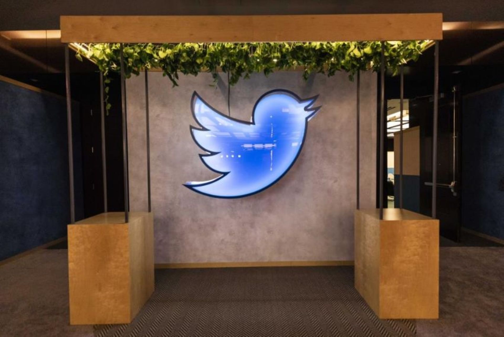 El logo oficial de Twitter por 50 dólares: Elon Musk vacía las oficinas ...