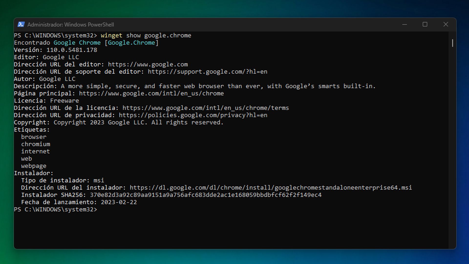 Cómo sacar el mayor partido al gestor de paquetes de Windows 11