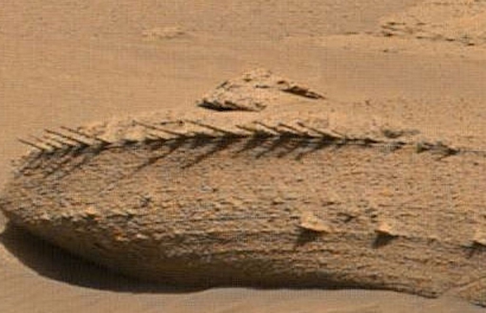El rover Curiosity descubre un 'fósil' de dragón en Marte