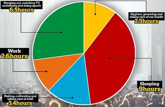 Este es el día promedio de una persona según la ciencia: ¿estás de ...