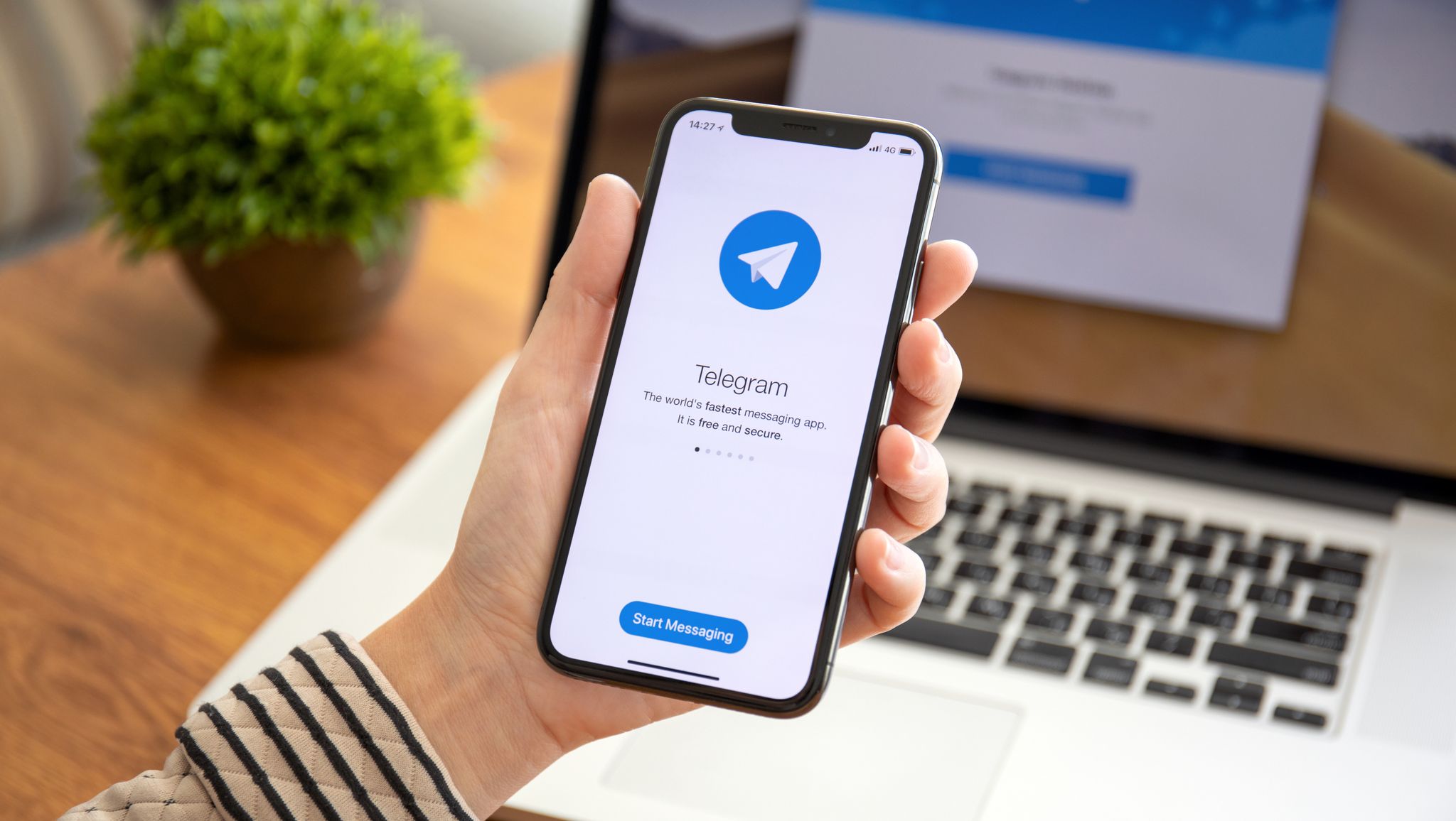 El truco para enviar mensajes en Telegram sin tener que añadir a los ...