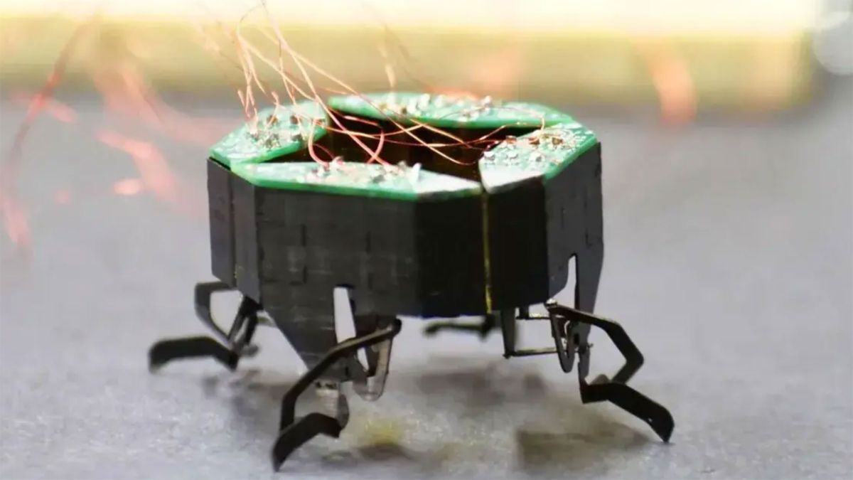 Se inventan un pequeño robot insecto capaz de cambiar de forma