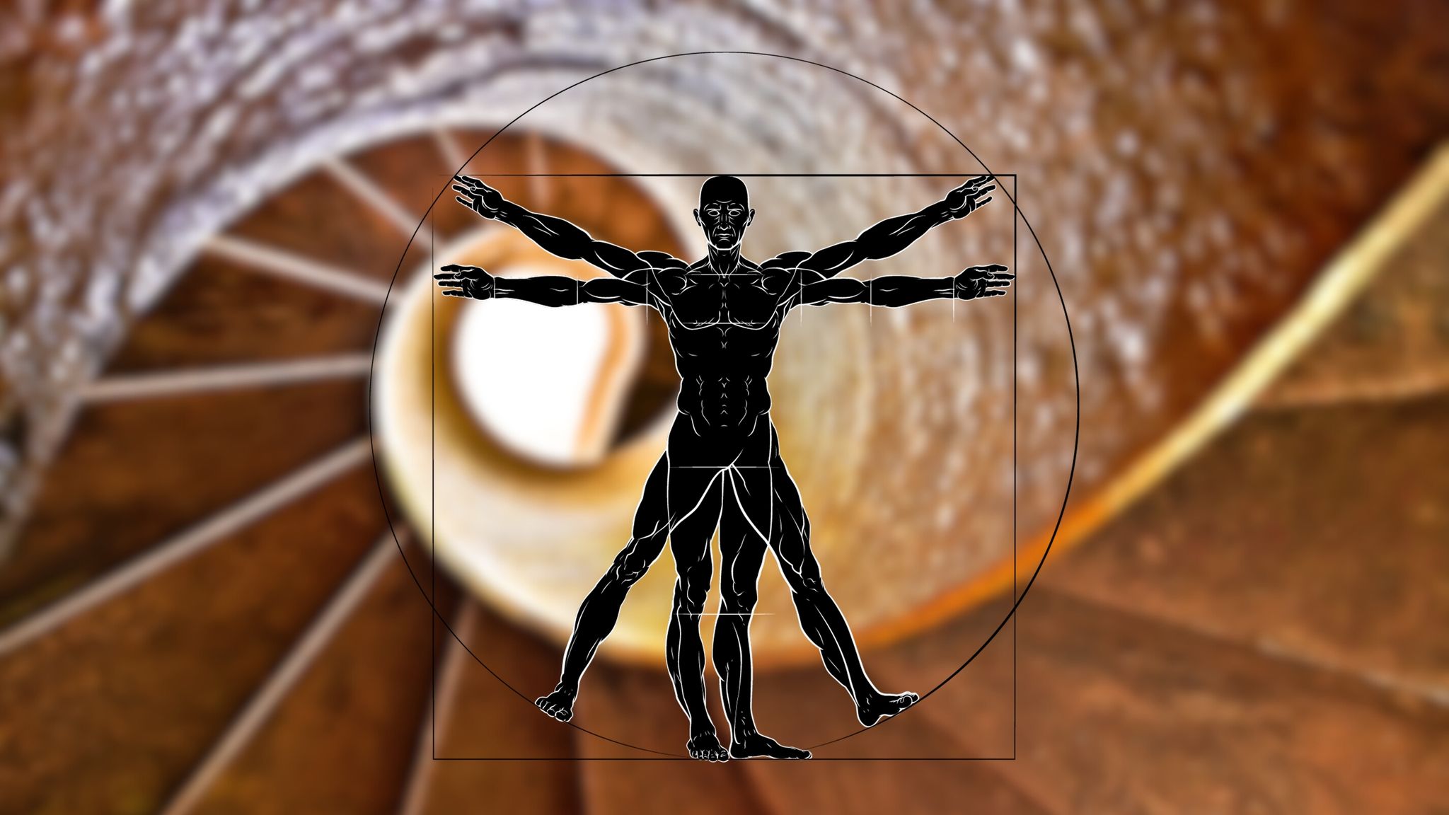 Número áureo: qué es la proporción áurea, la fascinante cifra que ...