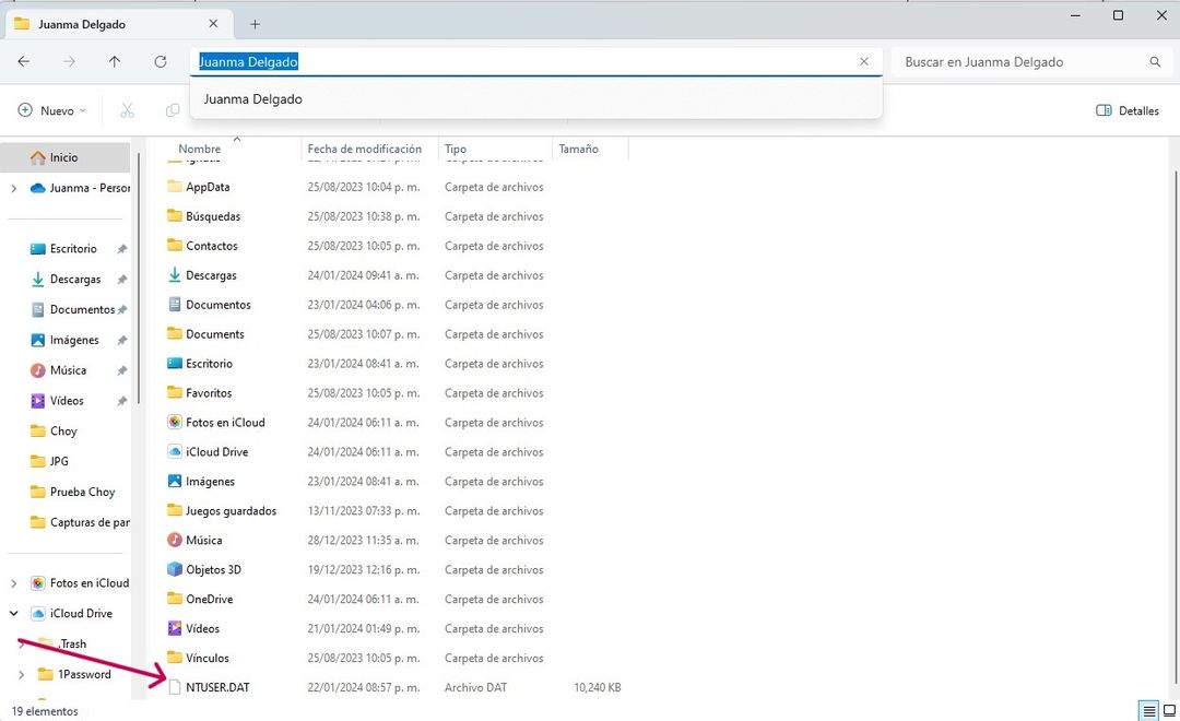 Cos'è il file NTUSER.DAT e a cosa serve in Windows 11? | MobileTek