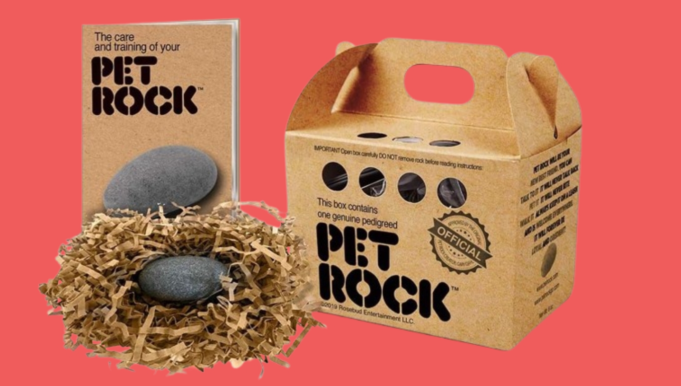 The case of Pet Rock, the joke of taking care of a stone that ended up ...