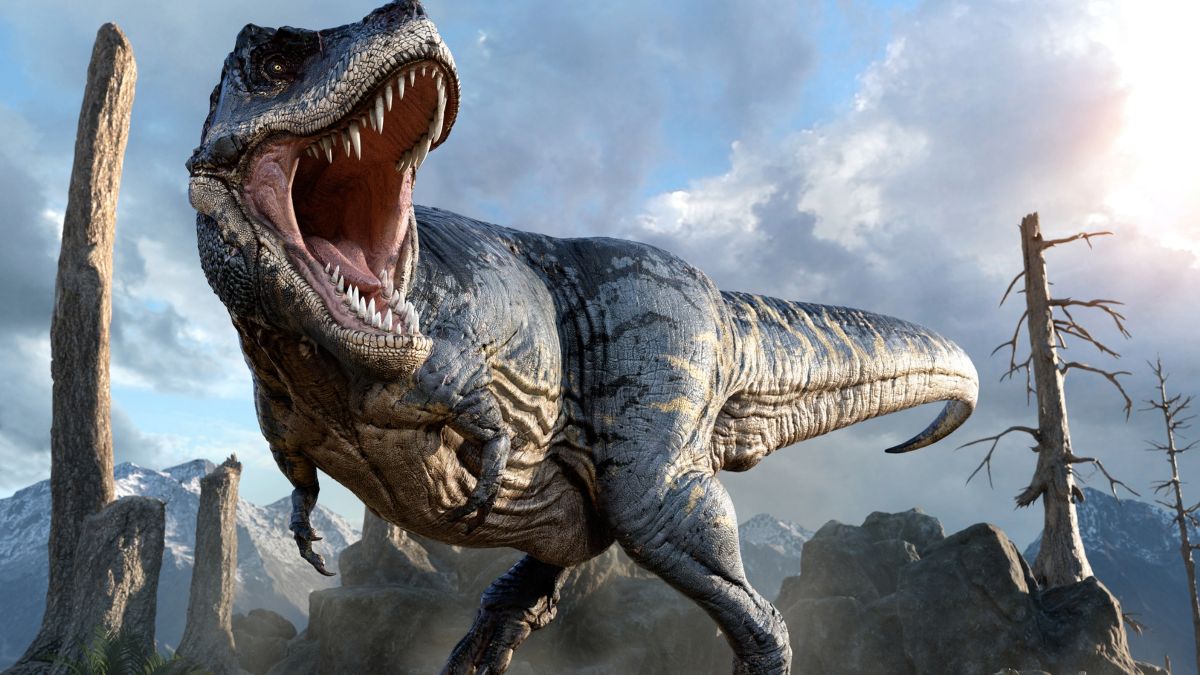 A Recent Discovery Reveals That The Fossils Attributed To The T-Rex Are ...