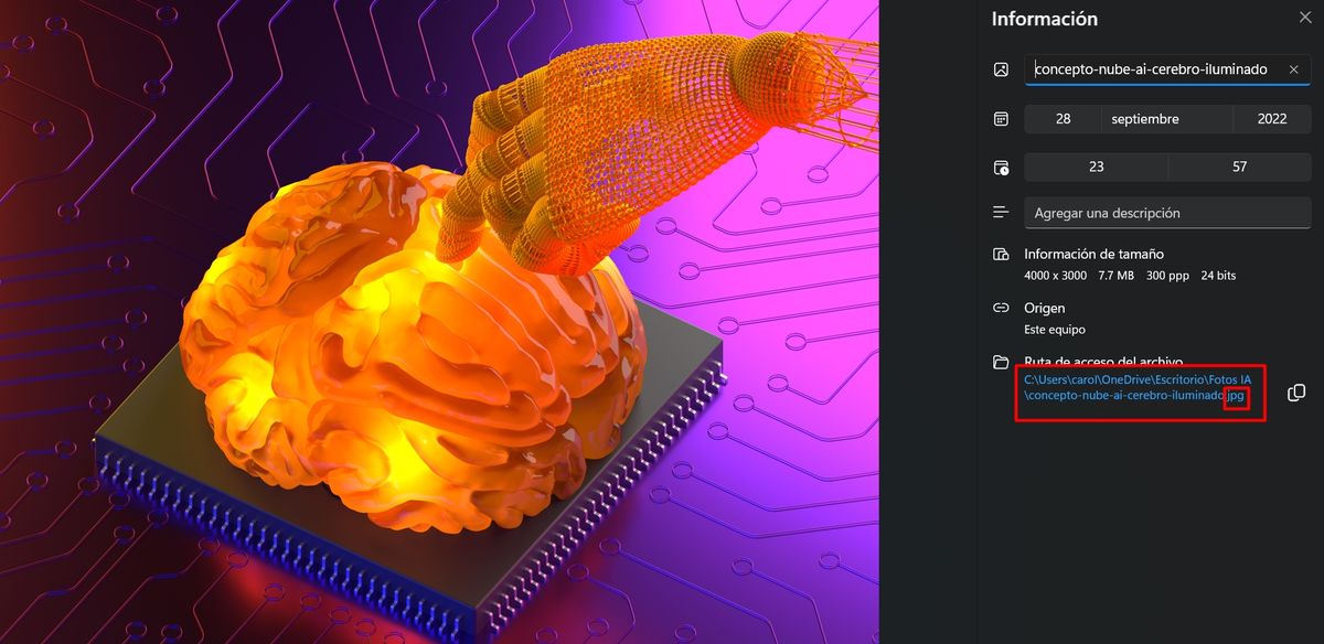 JPG y PNG: diferencias y qué formato de imagen debes usar en cada caso