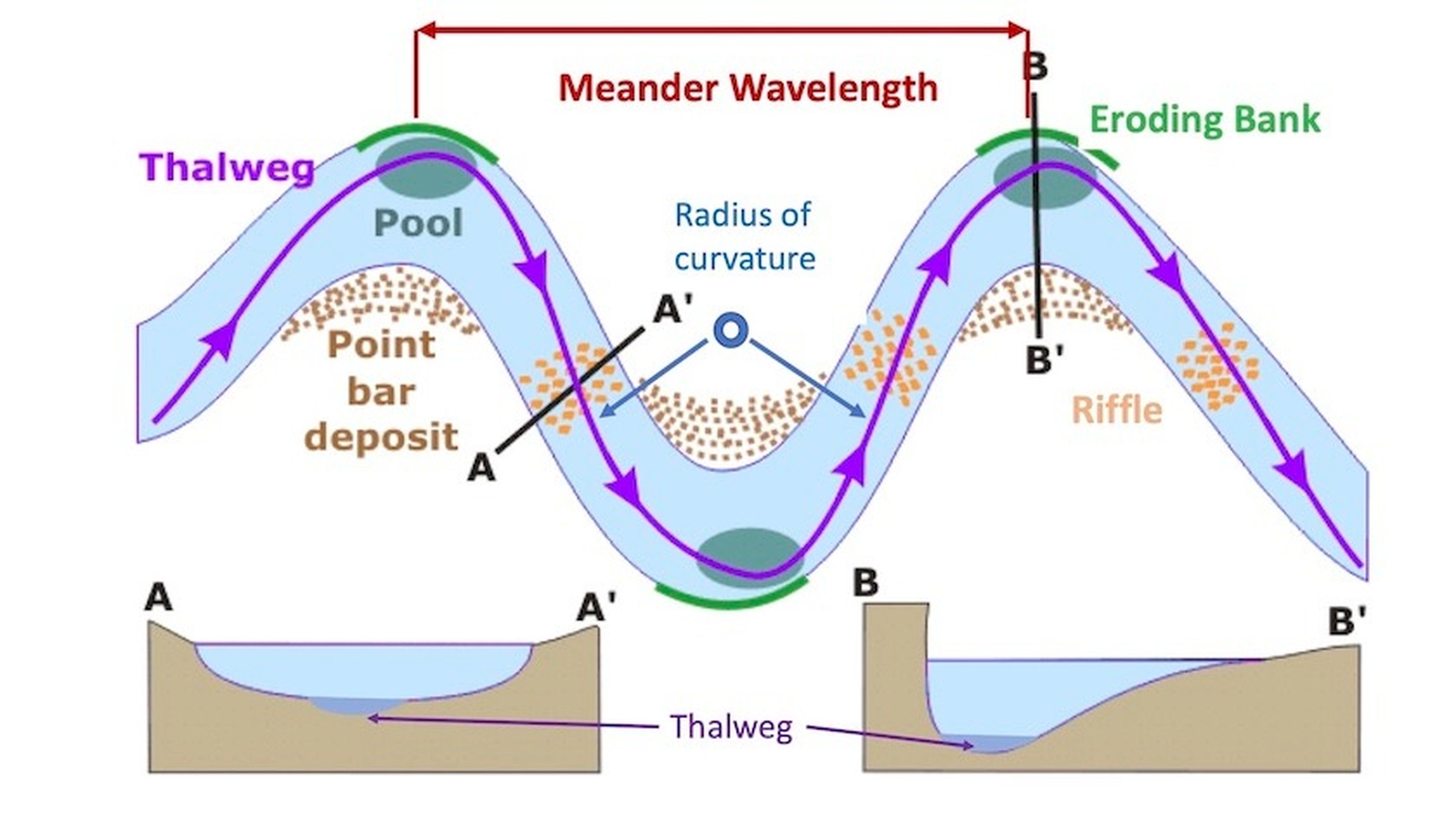¿Por qué los ríos forman meandros en lugar de seguir una línea recta?