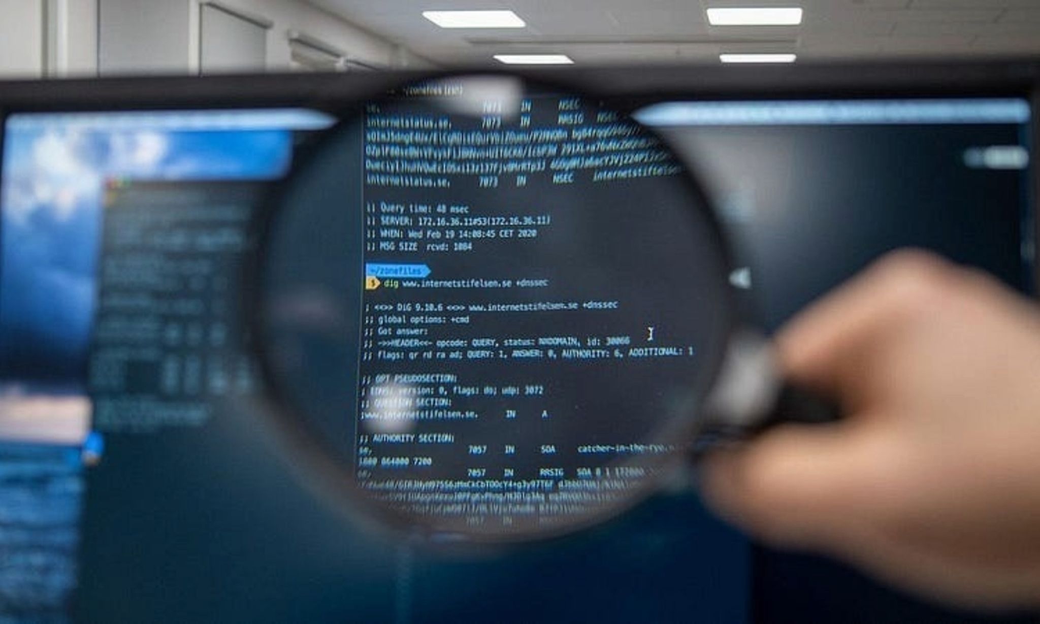 ¿Qué es Bug Bounty y por qué las empresas necesitan un hacker en su vida?