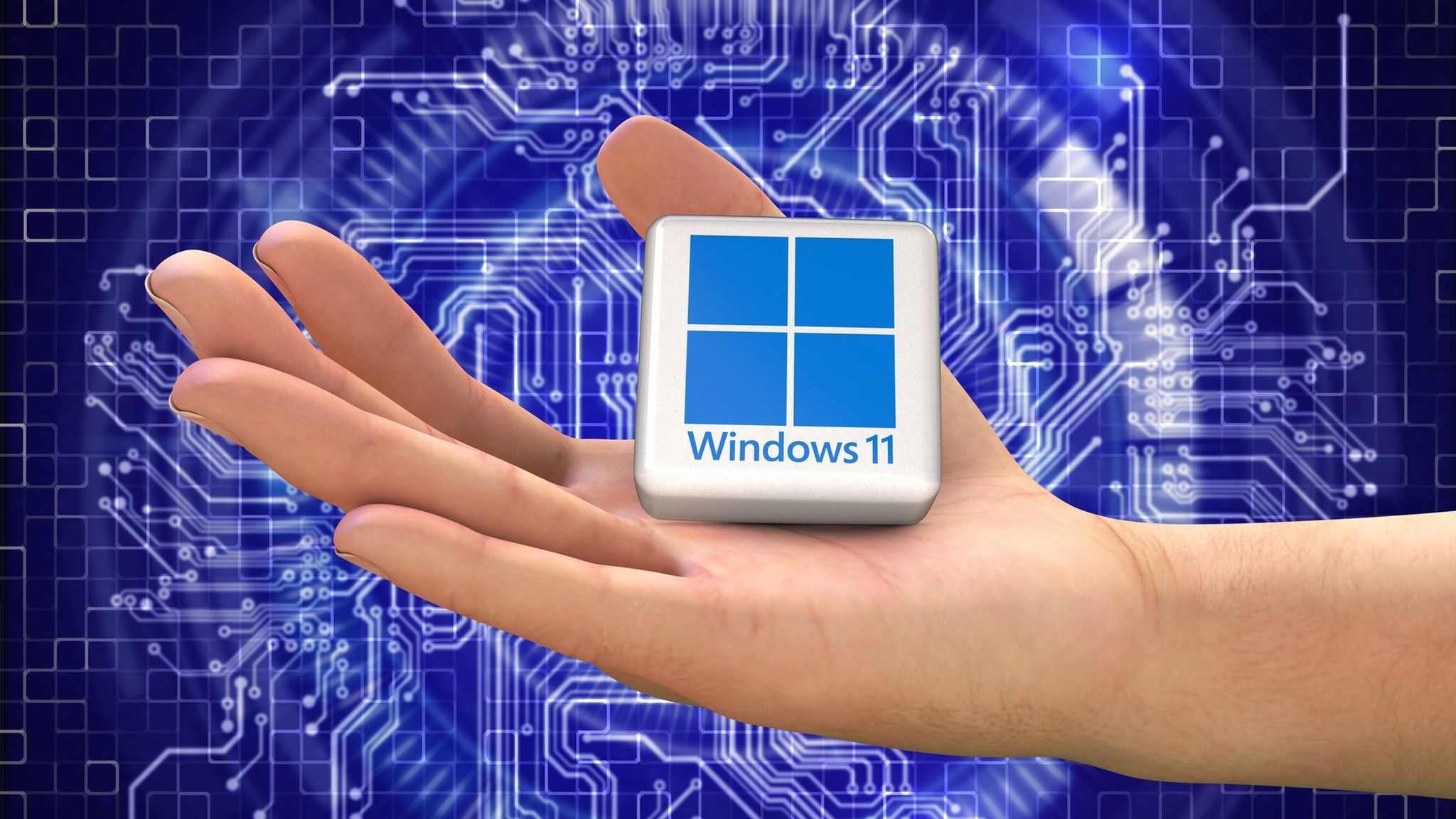 Ya puedes probar gratis la versión final de Windows 11 24H2 en español