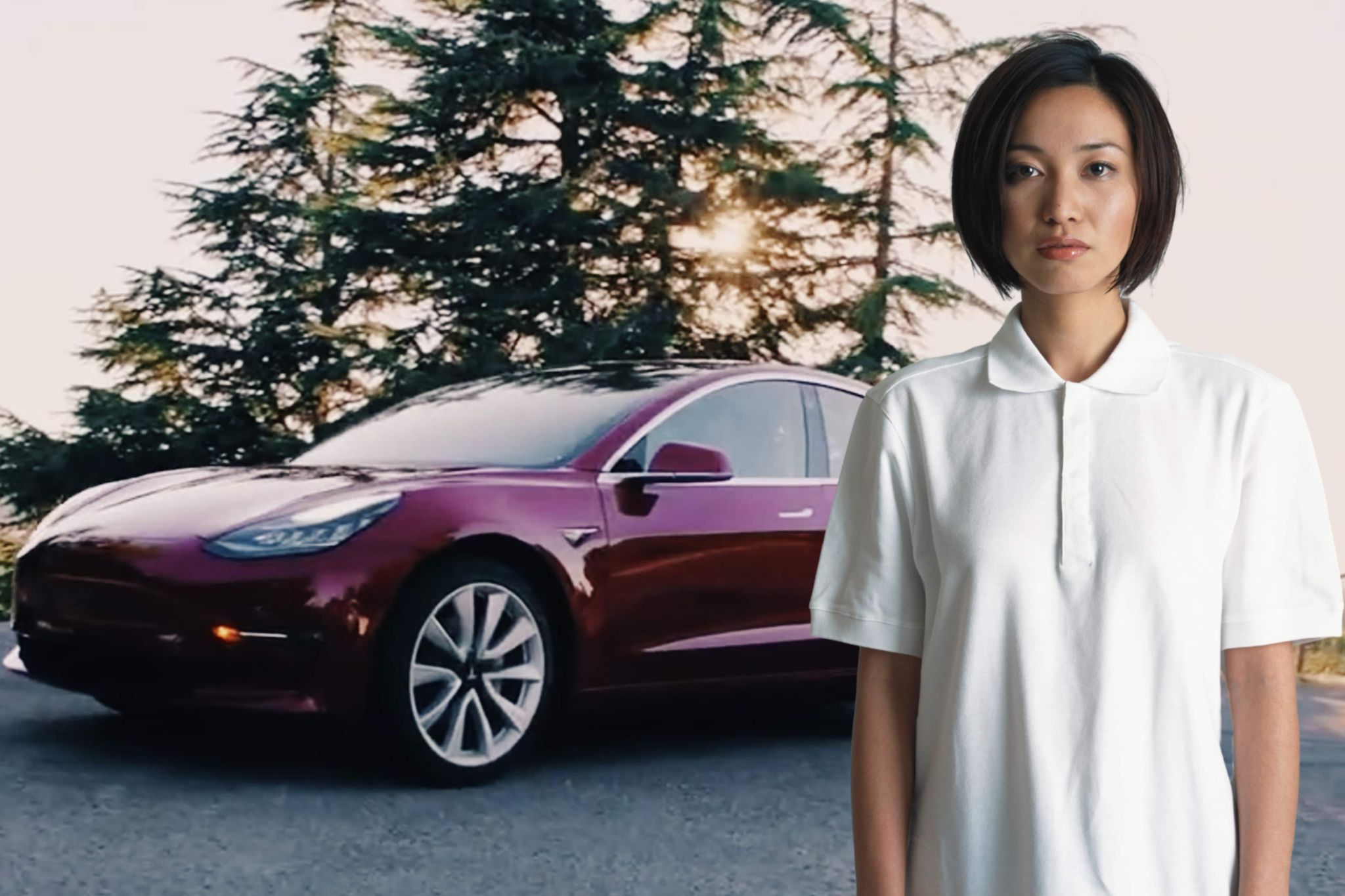 Conductora de Tesla revela el impactante estado de la batería después ...