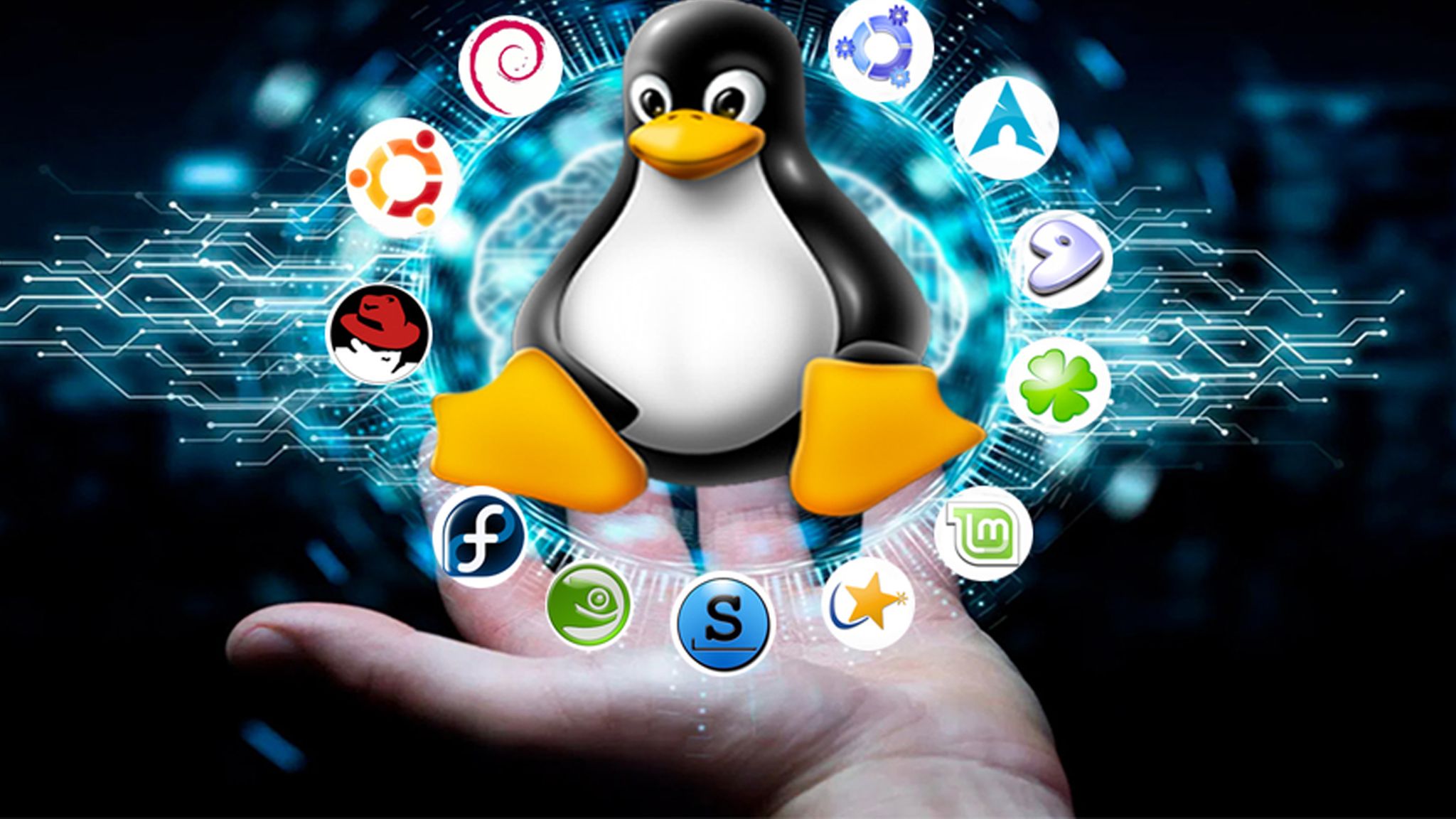 ¡Locura total! Consiguen ejecutar una distro de Linux en un documento PDF