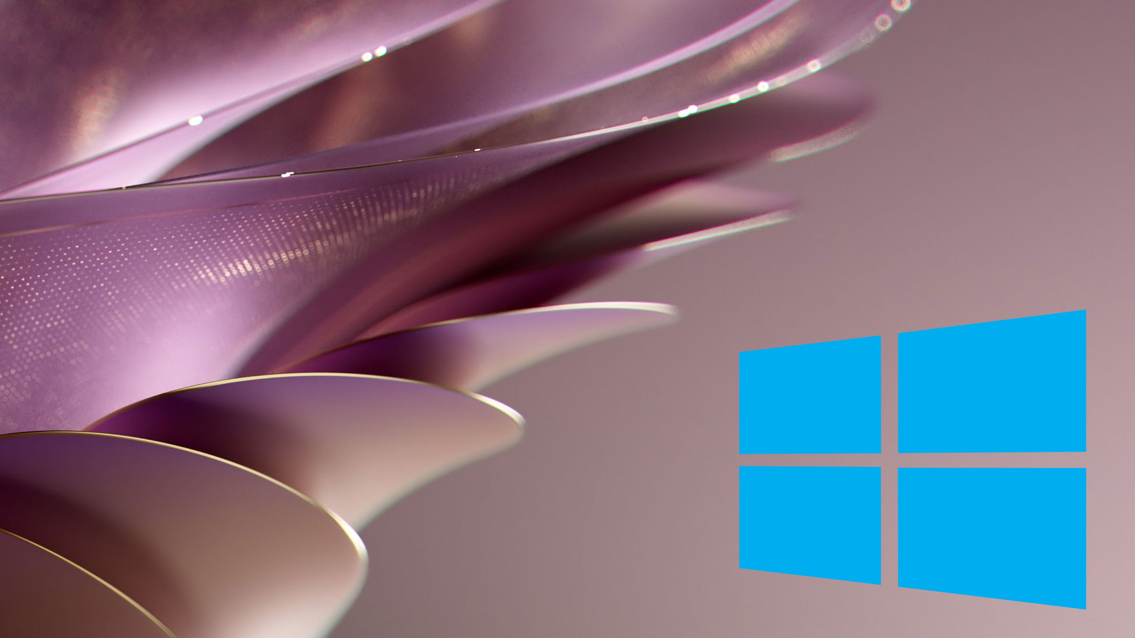 Fotos Fotos Fondos De Pantalla De Windows Fondo De Pantalla De Windows Fotos Fotos Fondos De Pantalla De Windows Fondo De Pantalla De Windows