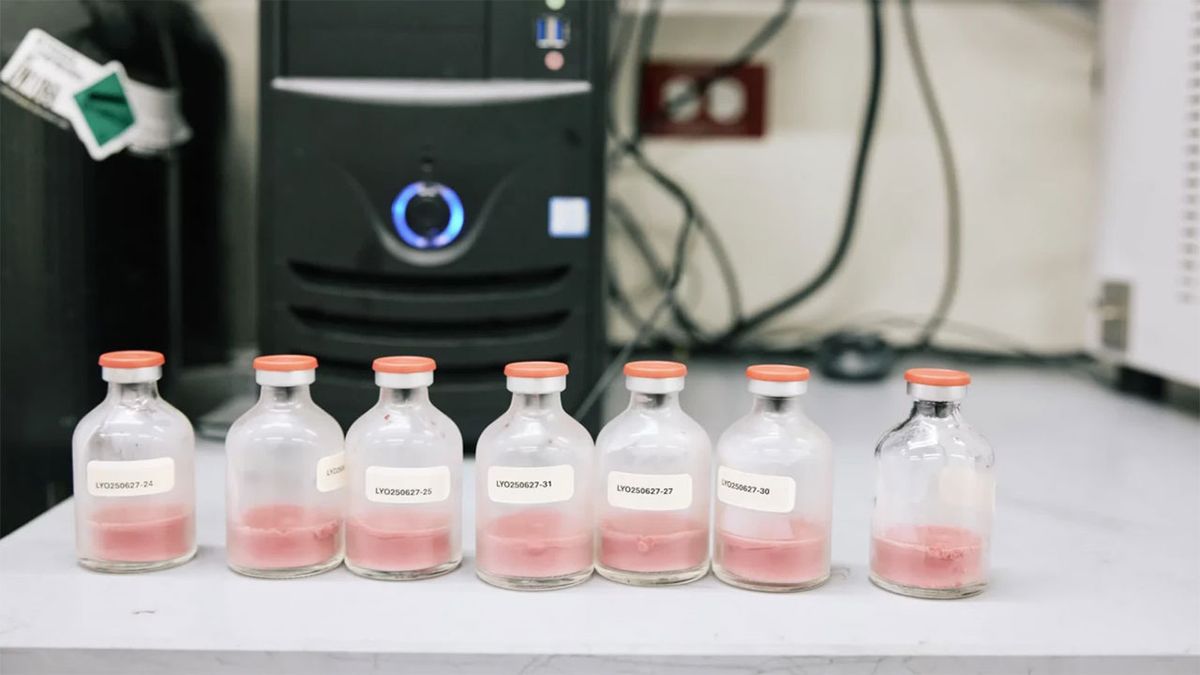 Investigadores crean sangre artificial en polvo para emergencias y ...