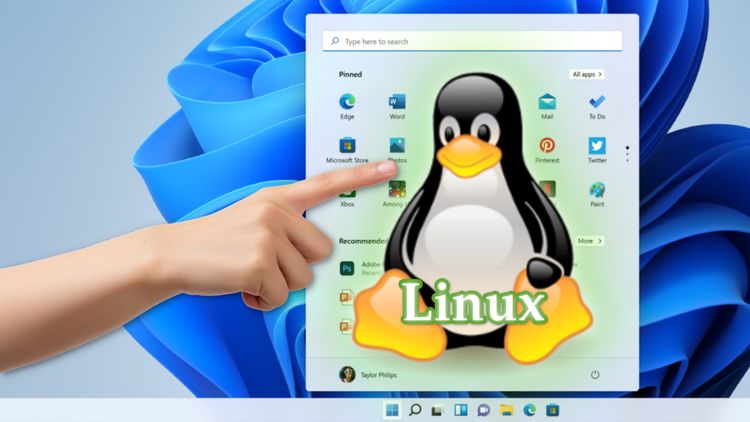 ¿No sabes si elegir Windows o Linux?: Winux es la distro que combina lo ...